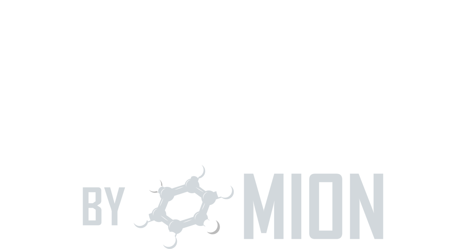 MION Technologies - MION Technologies